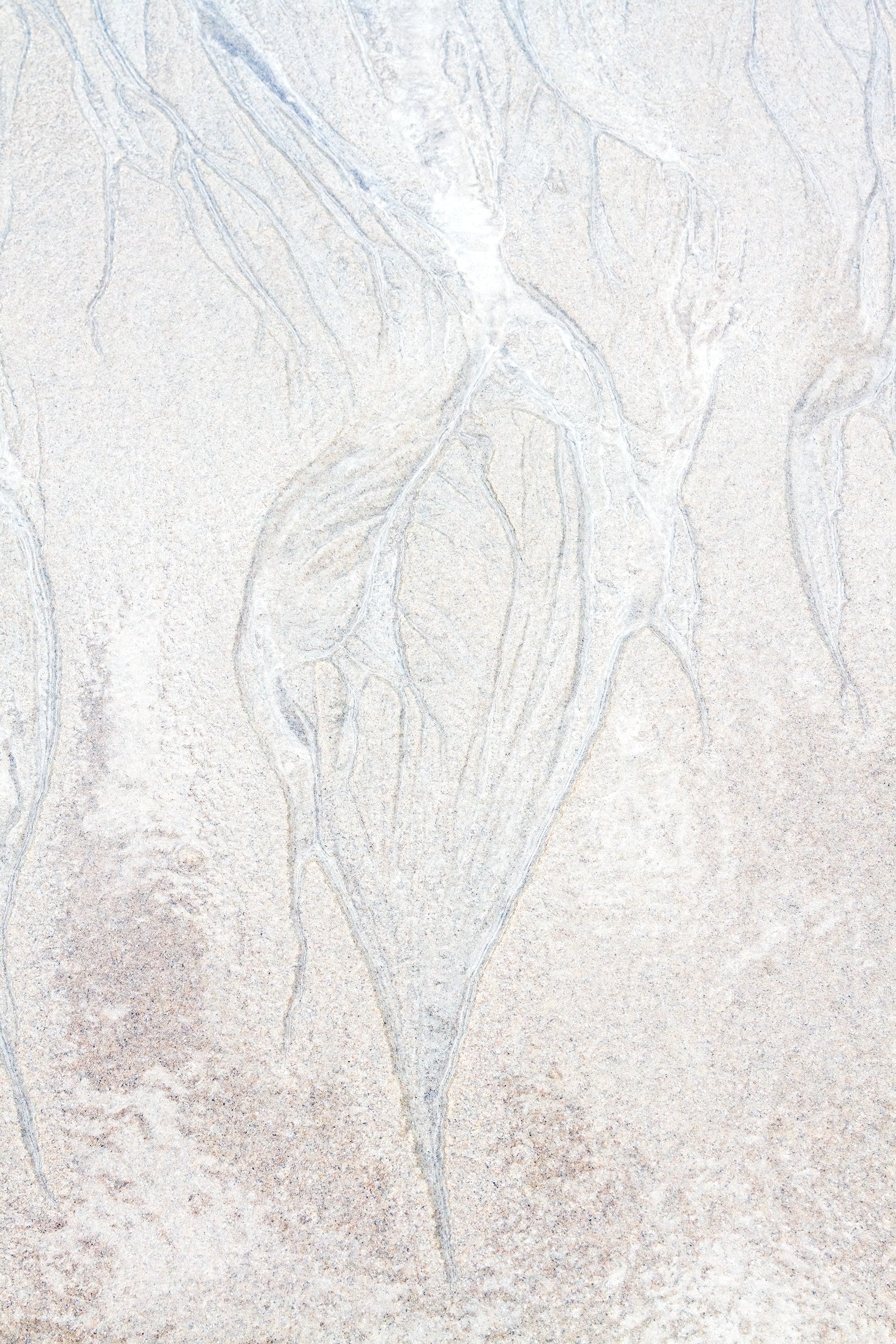 Abstract Photography Art Print by Cattie Coyle – Cattie Coyle Photography