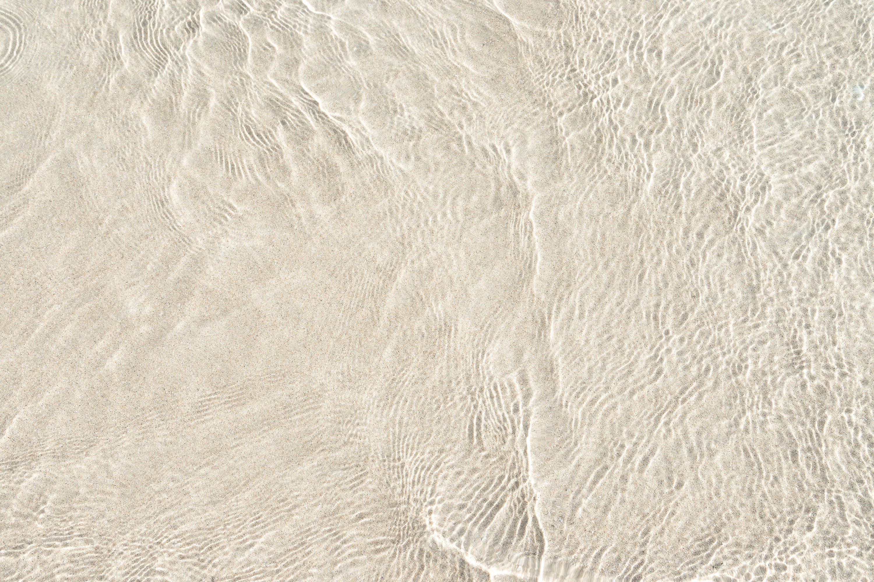 Nature Abstraction Art Print by Cattie Coyle Photography